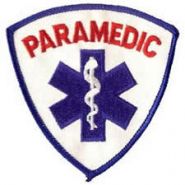 Dave's Uniforms, LLC - PARAMEDIC Shoulder Patch, Different Patches of ...