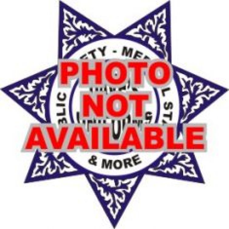 Dave's Uniforms, LLC - CHICAGO POLICE DEPARTMENT SHOULDER PATCH - GOLD ...